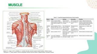 Anatomy of The Spine (1).pptx