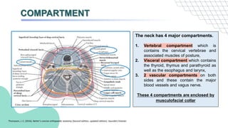 Anatomy of The Spine (1).pptx