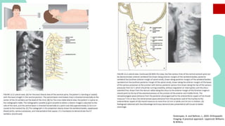 Anatomy of The Spine (1).pptx