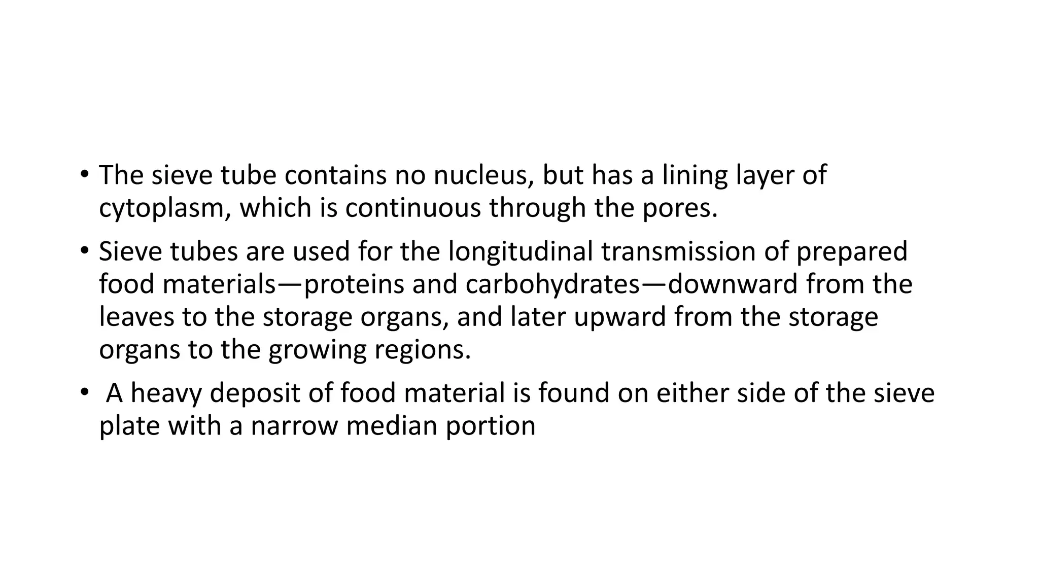 ANATOMY OF THE STEM.pptx