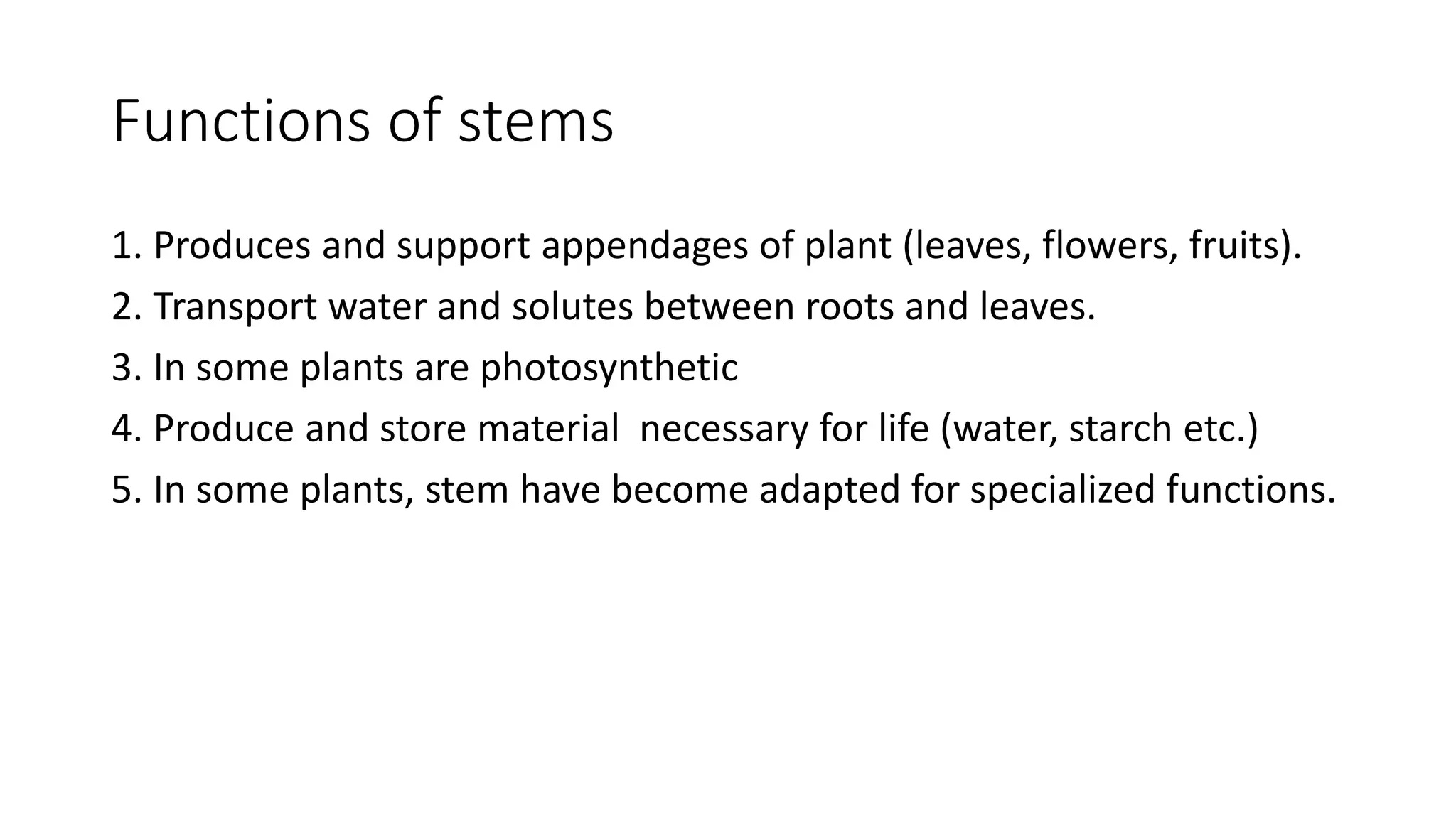 ANATOMY OF THE STEM.pptx