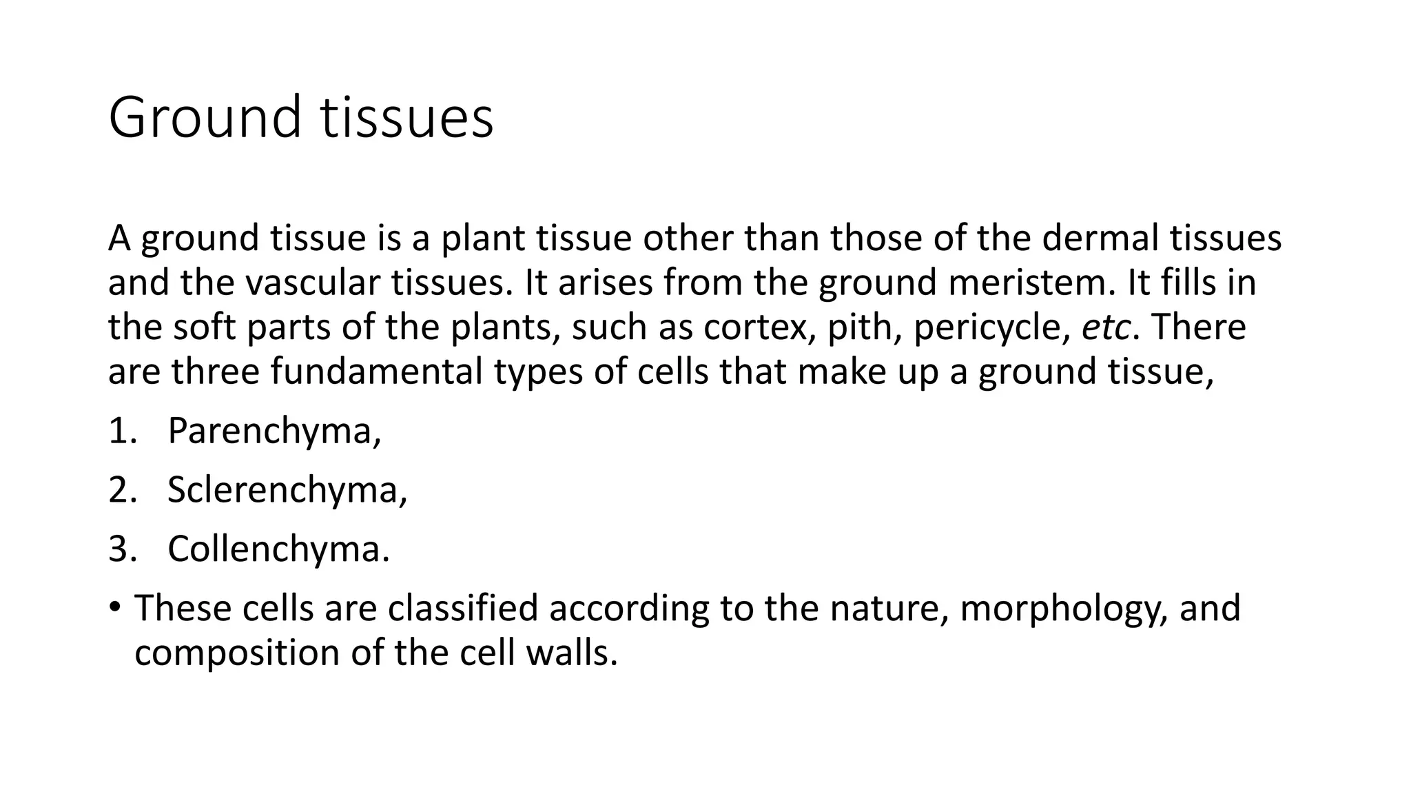 ANATOMY OF THE STEM.pptx