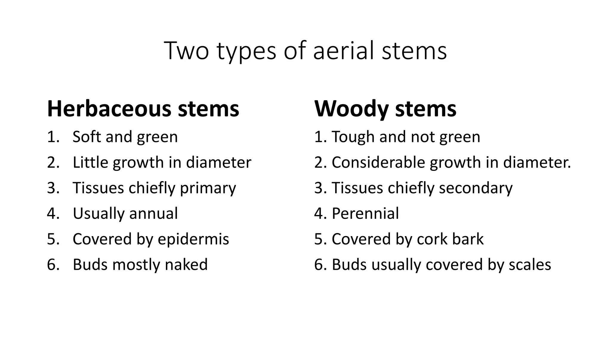 ANATOMY OF THE STEM.pptx