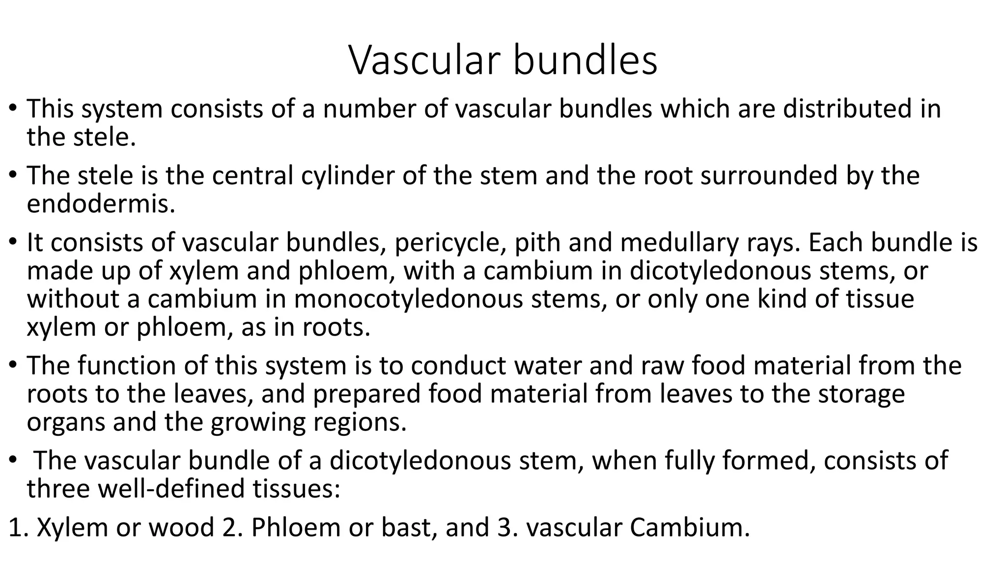ANATOMY OF THE STEM.pptx