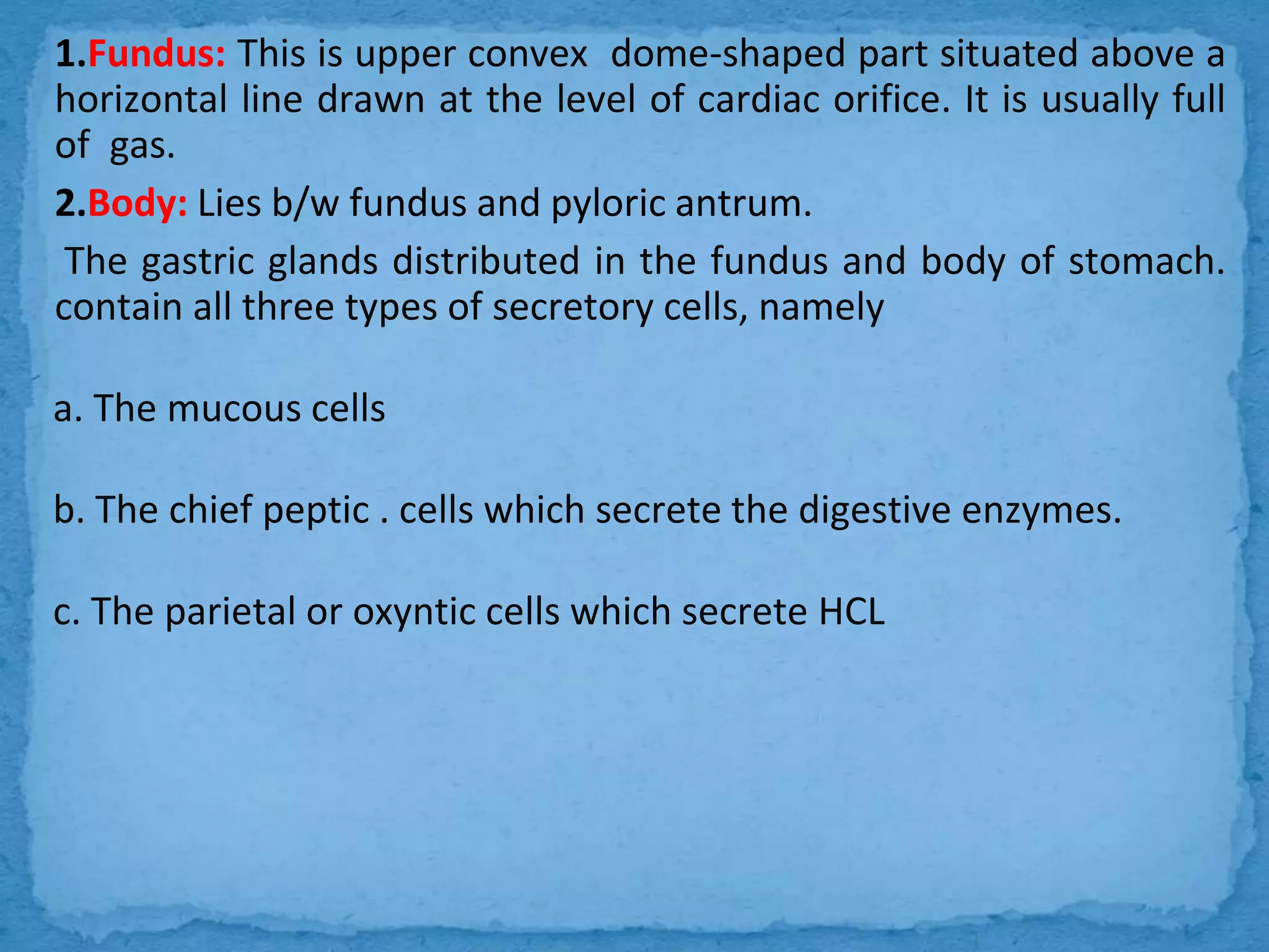 Anatomy of the stomach | PPTX