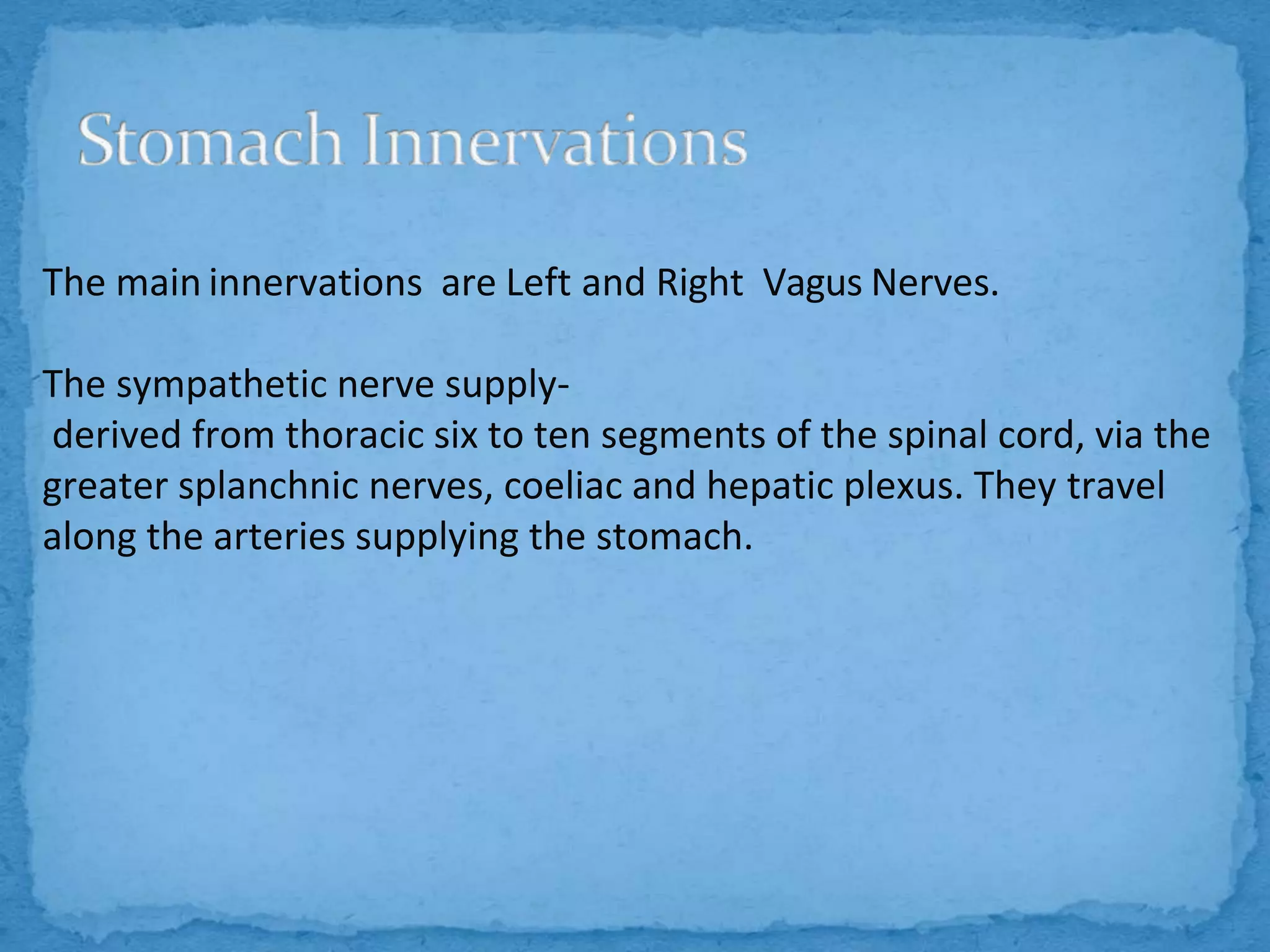 Anatomy of the stomach | PPTX