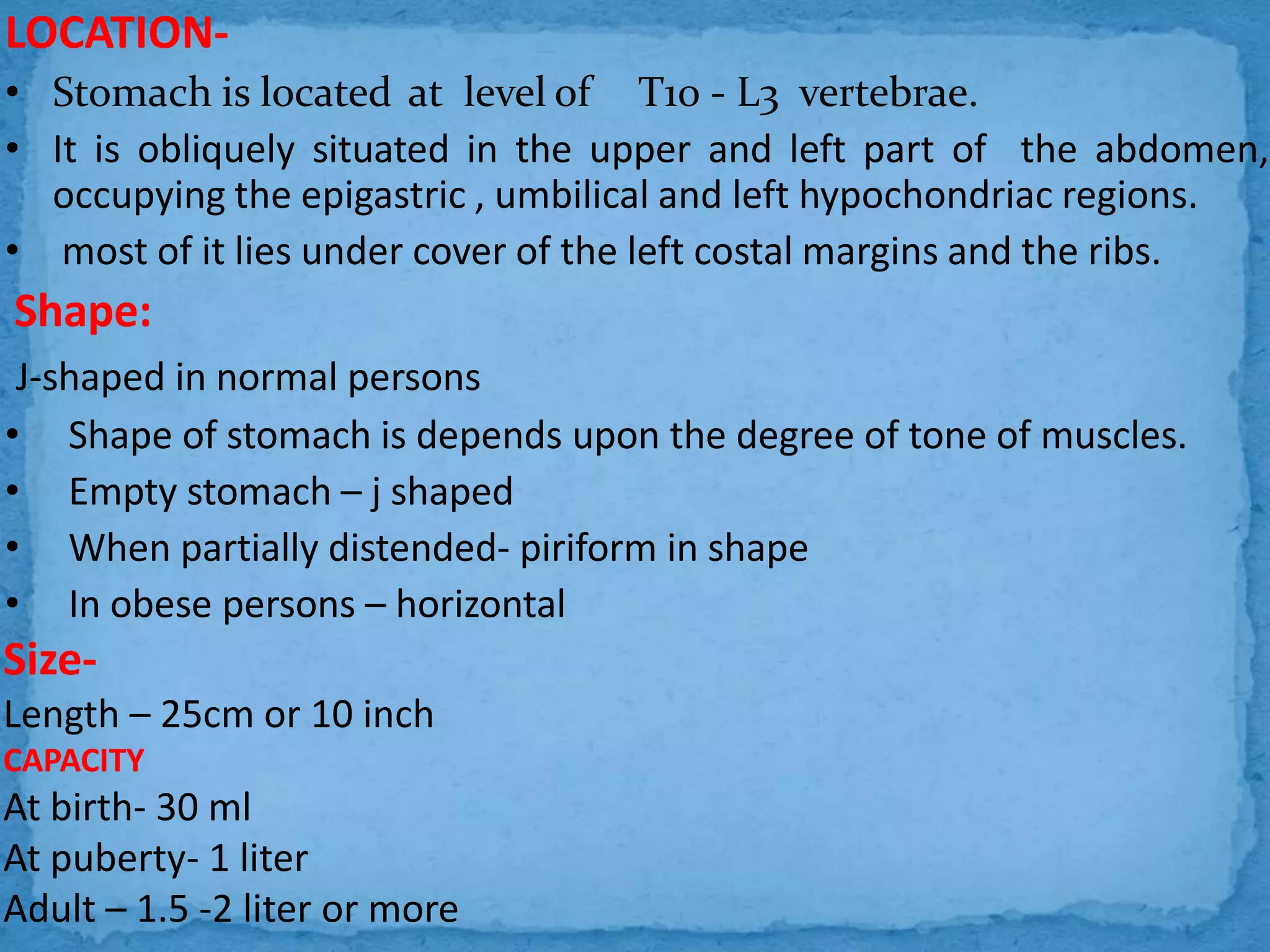 Anatomy of the stomach | PPTX