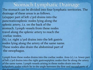 Anatomy of the stomach | PPTX