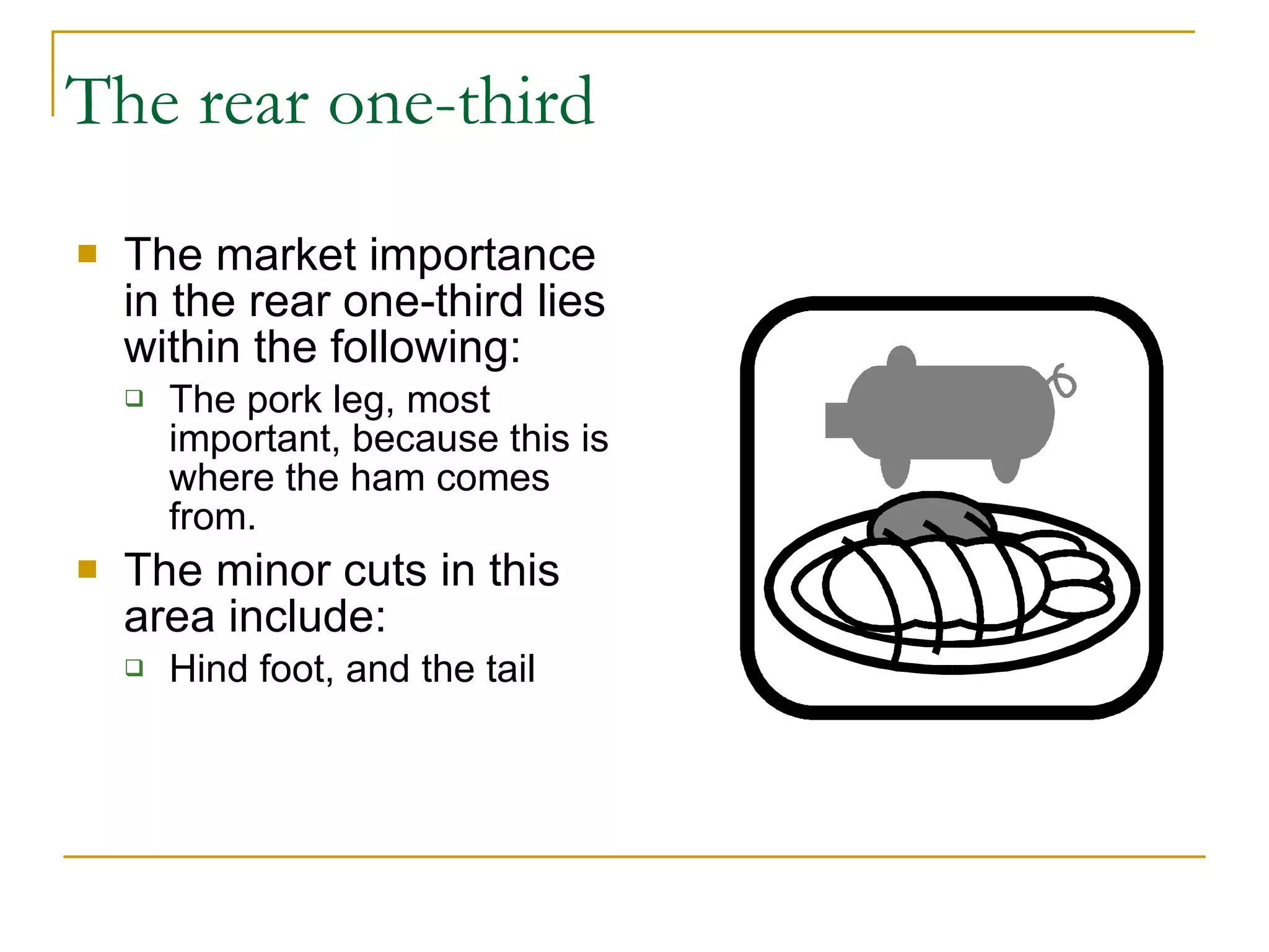 Anatomy Of The Swine | PPT