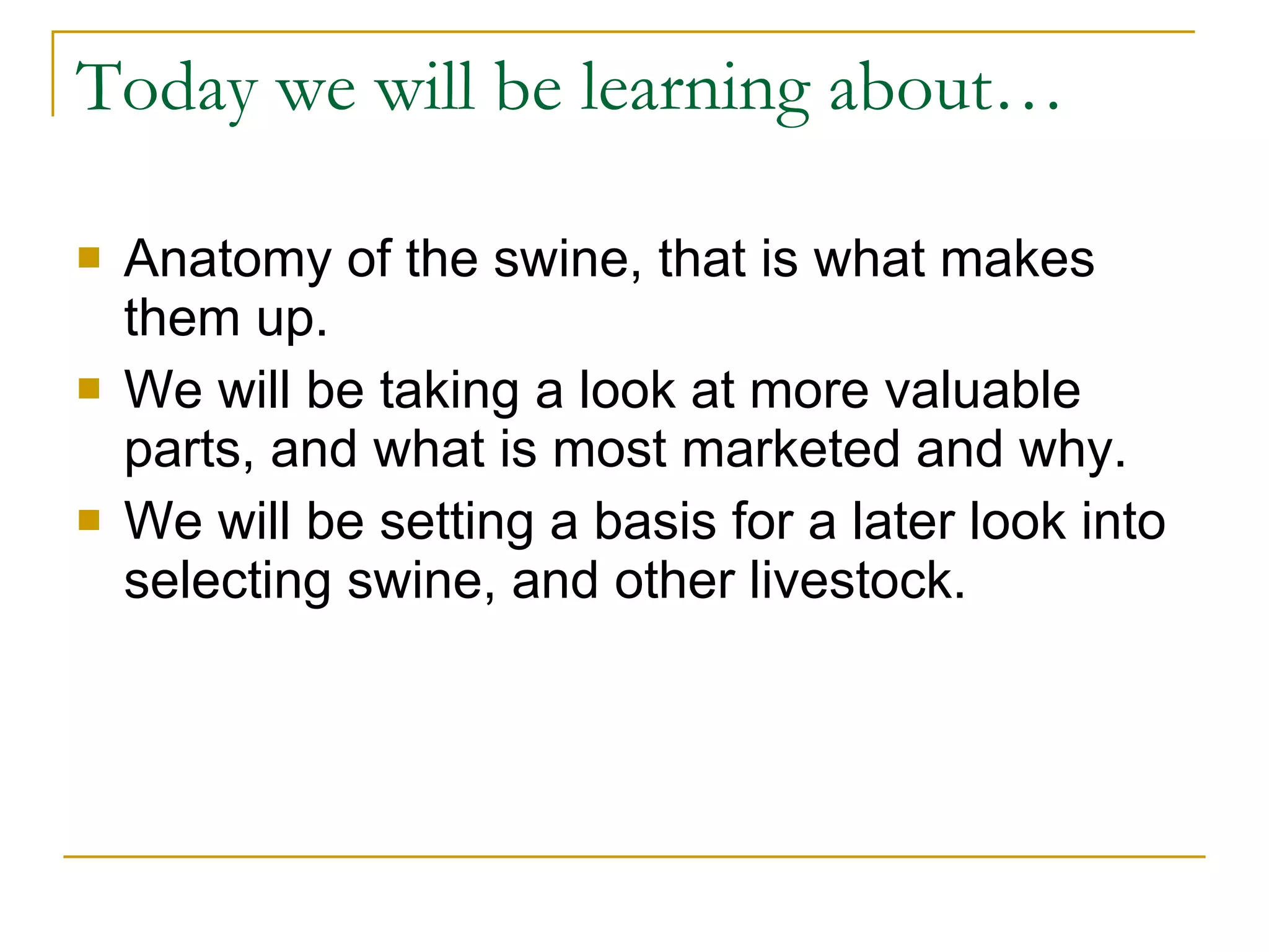 Anatomy Of The Swine | PPT
