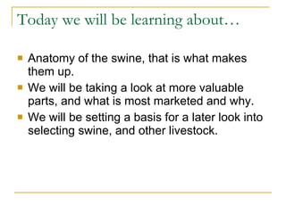 Anatomy Of The Swine | PPT