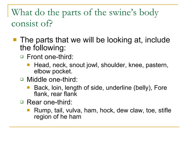 Anatomy Of The Swine | PPT