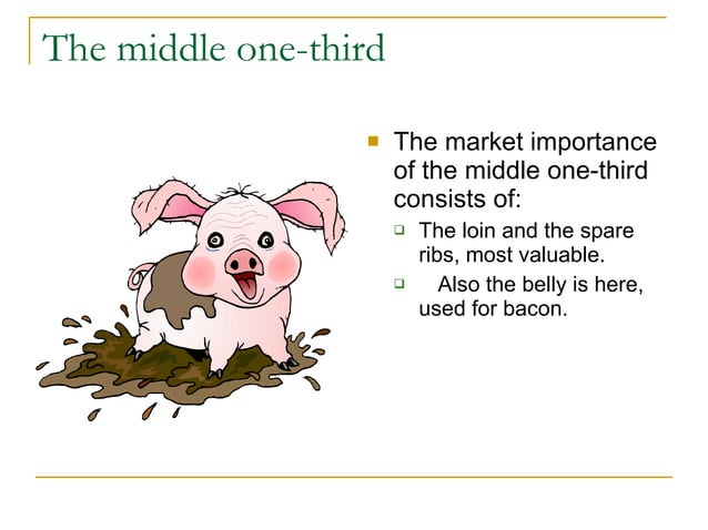 Anatomy Of The Swine | PPT