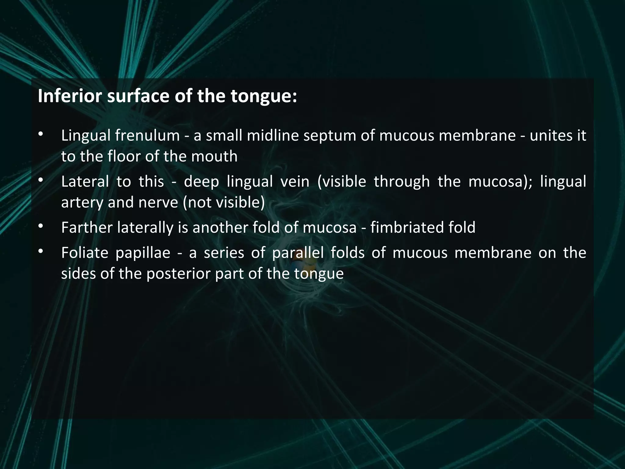 Anatomy of the tongue | PPT