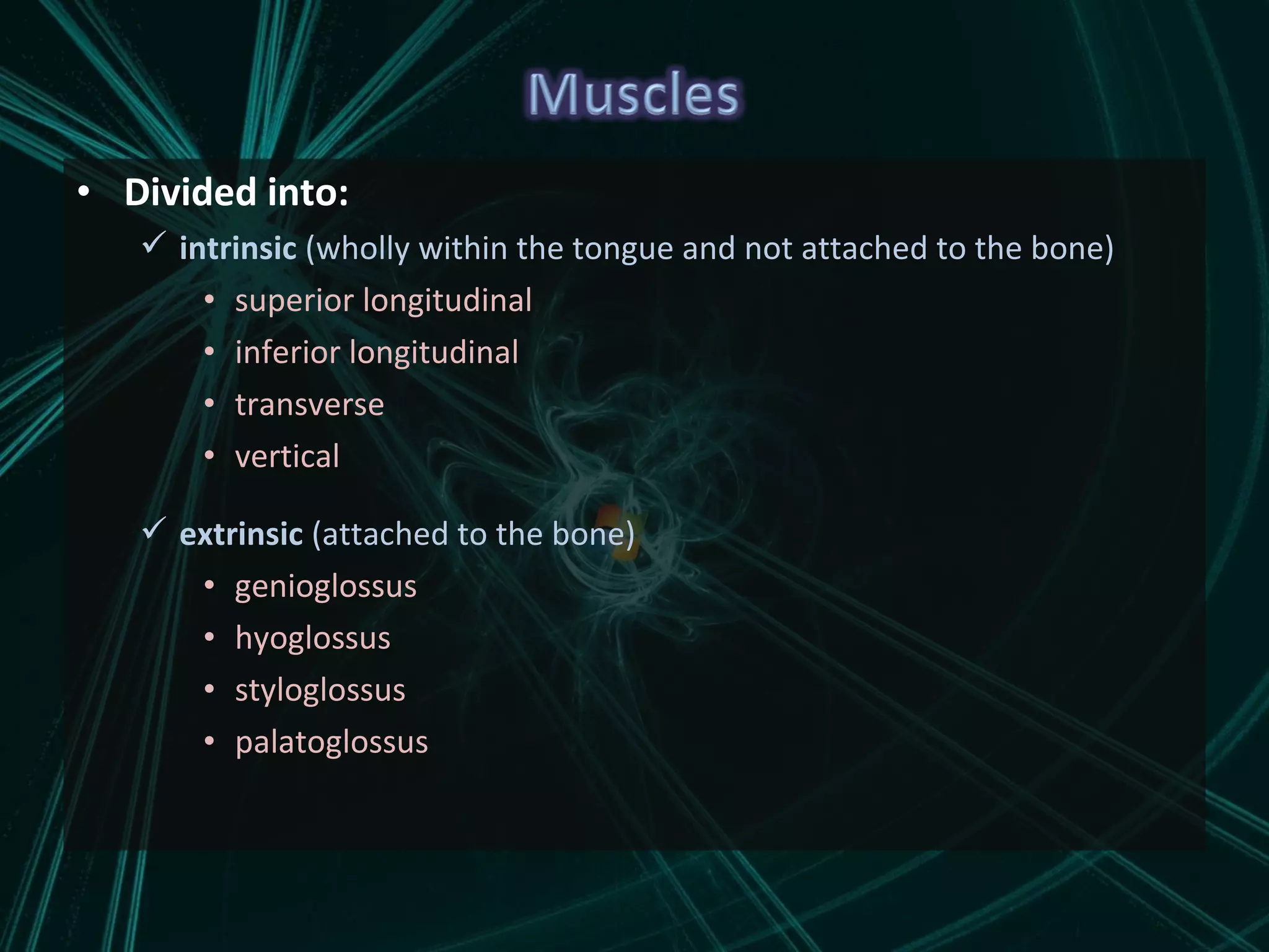 Anatomy of the tongue | PPT