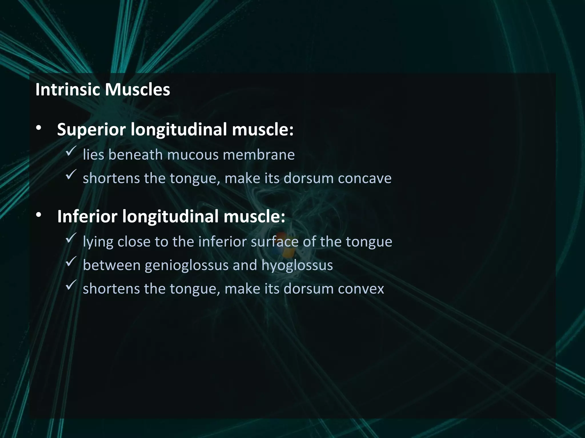 Anatomy of the tongue | PPT