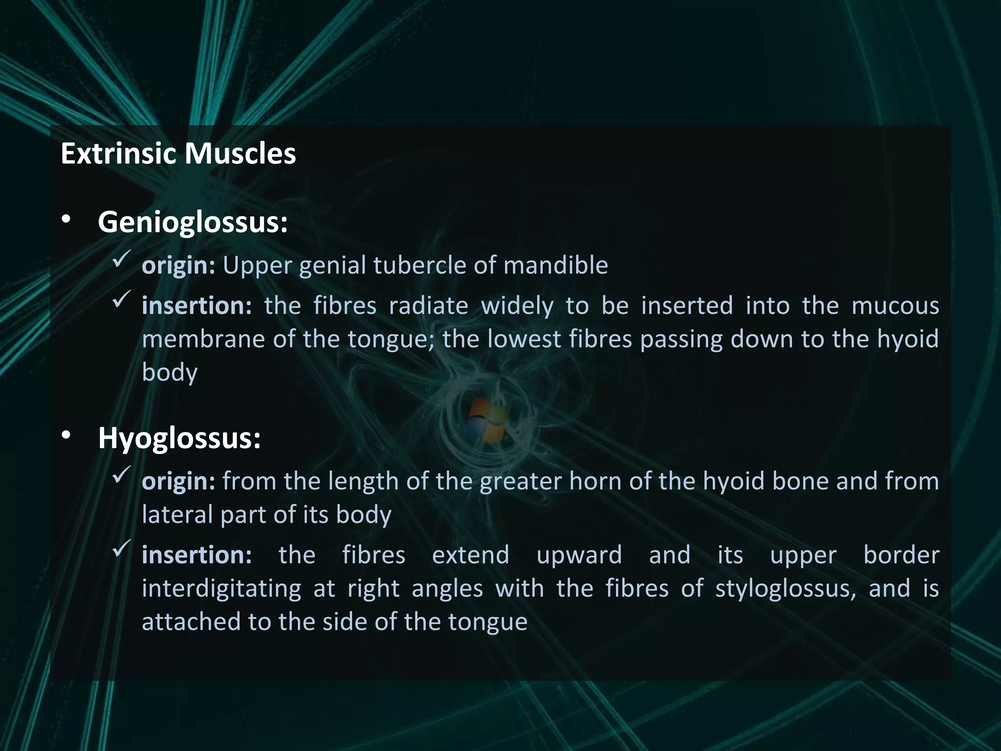 Anatomy of the tongue | PPT