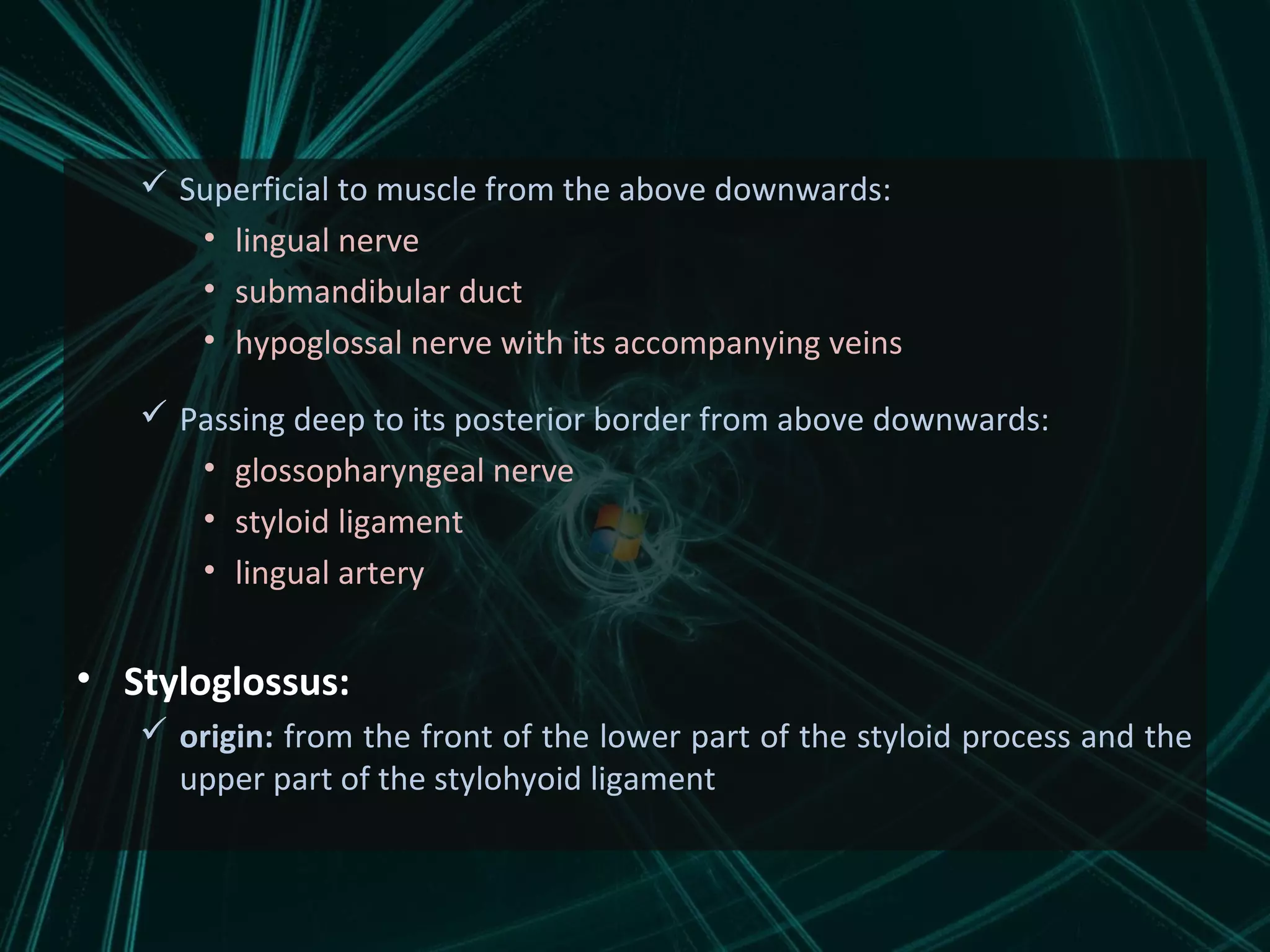 Anatomy of the tongue | PPT