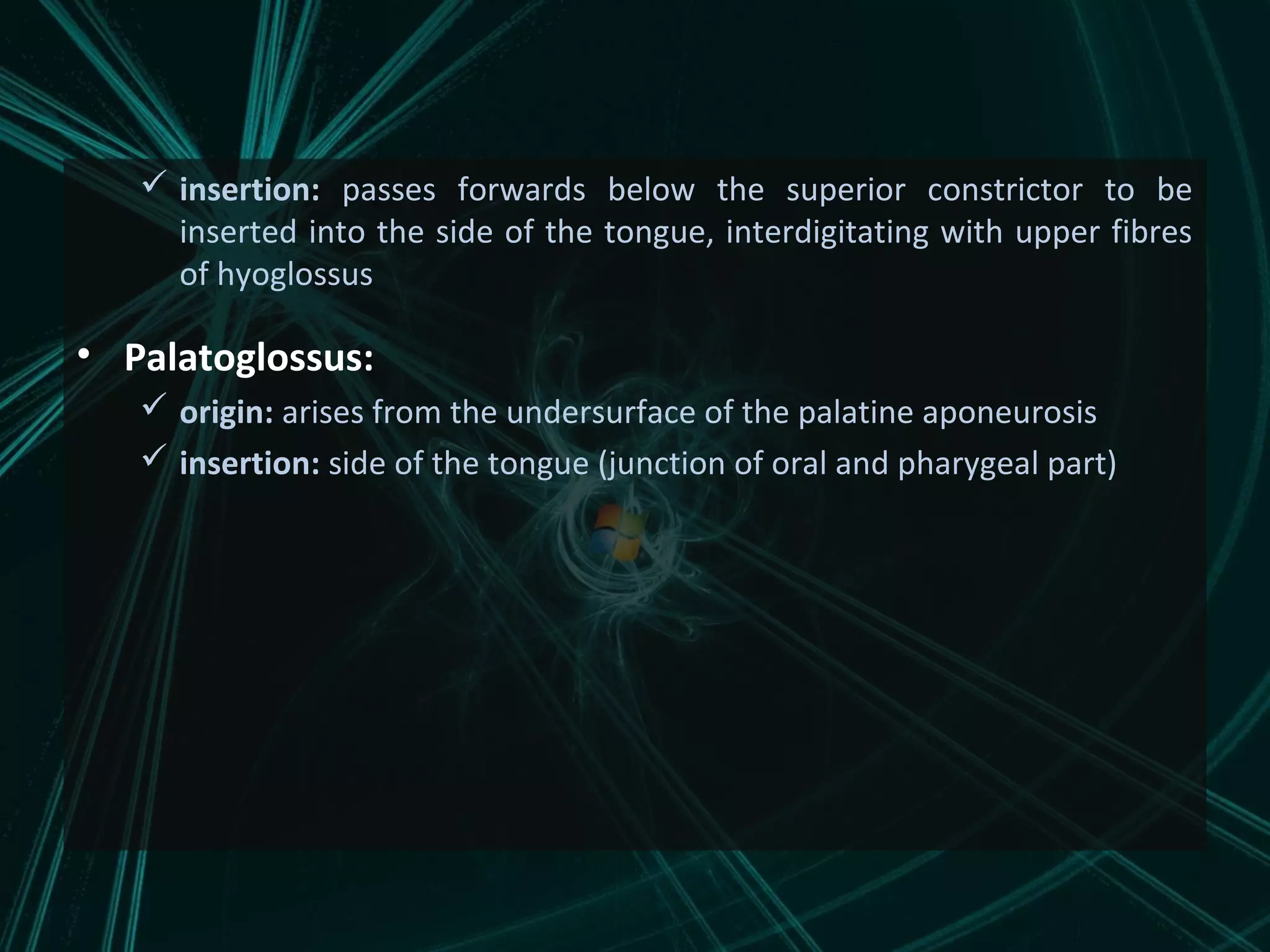Anatomy of the tongue | PPT