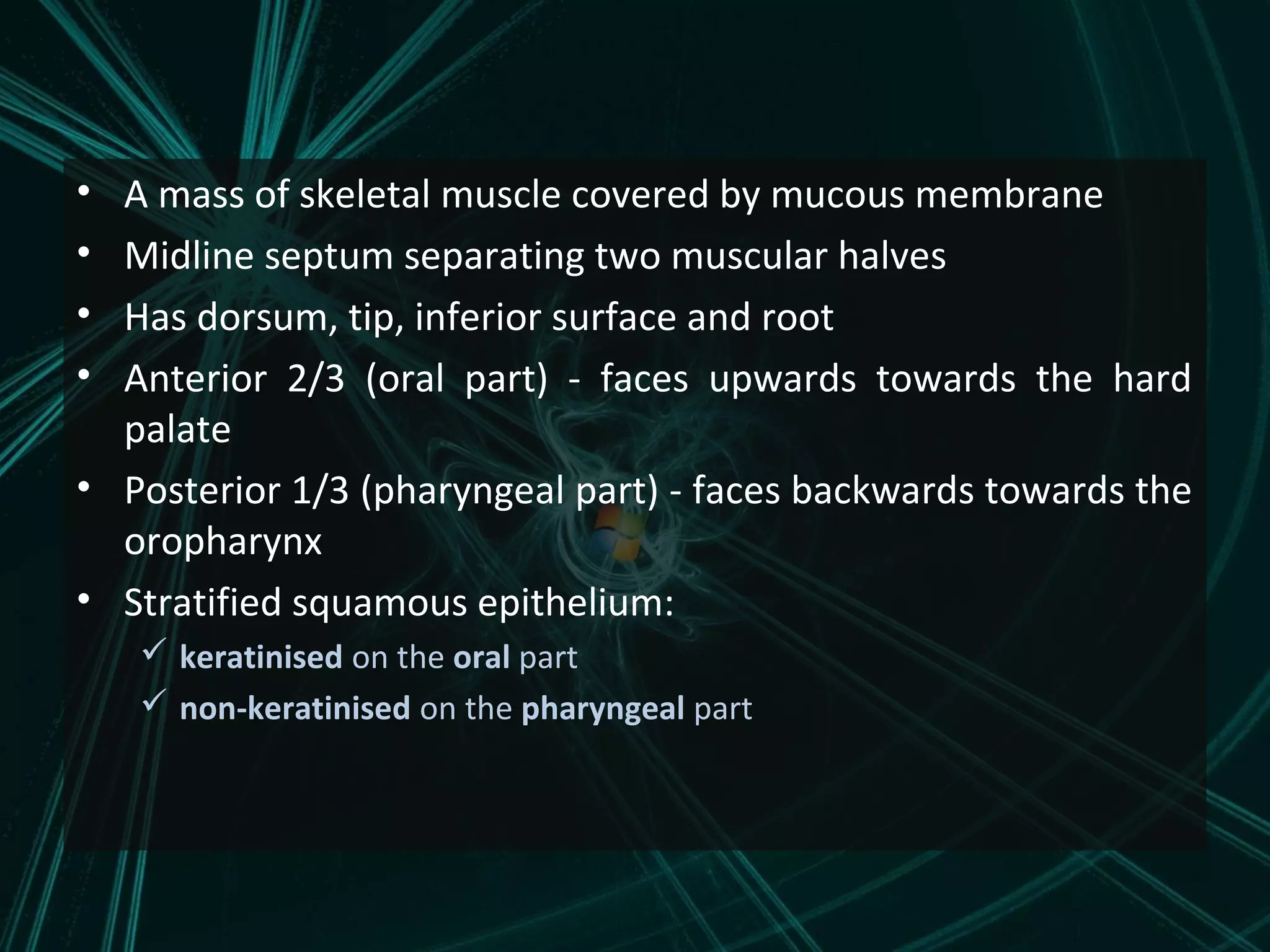 Anatomy of the tongue | PPT