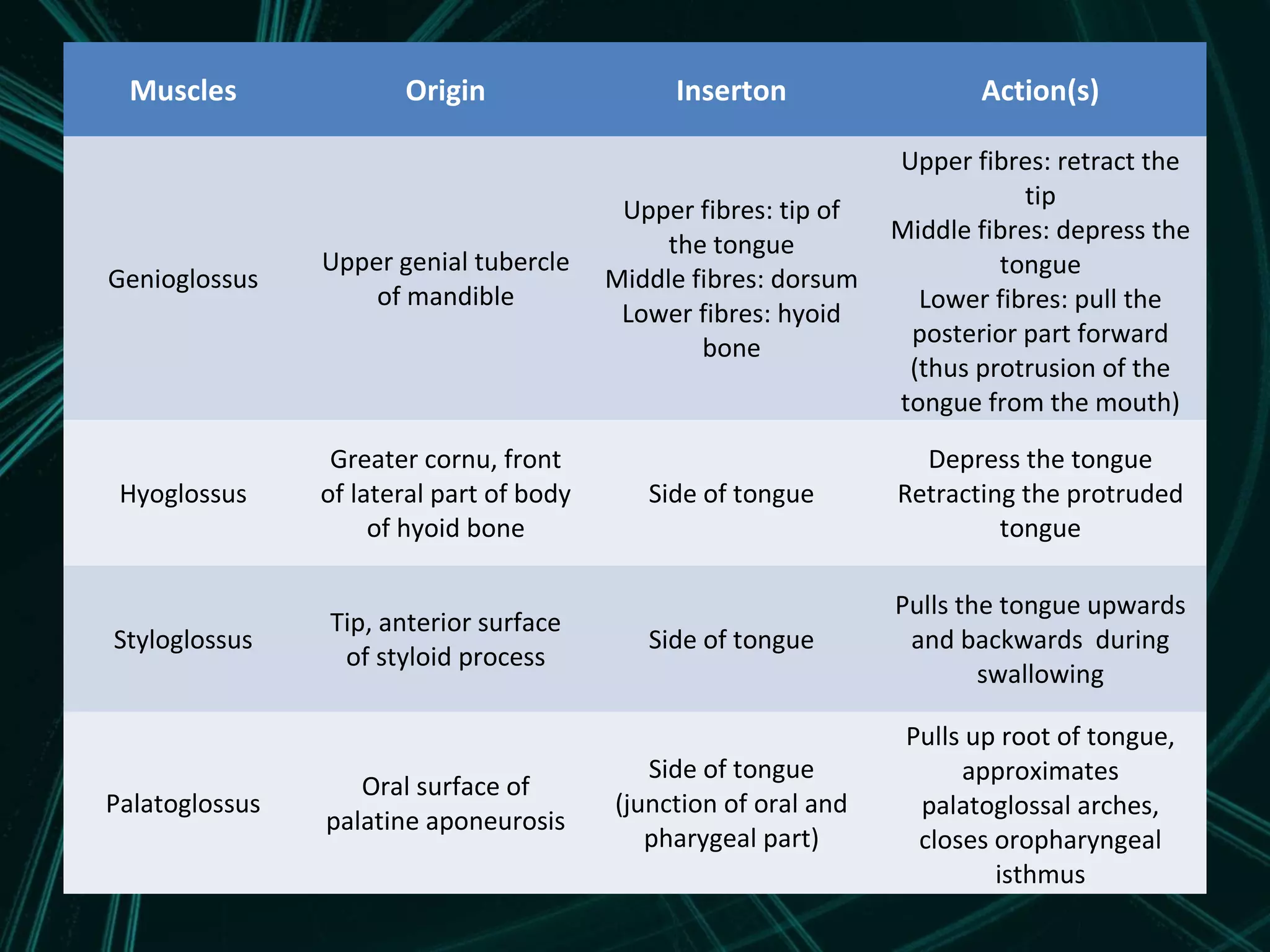 Anatomy of the tongue | PPT