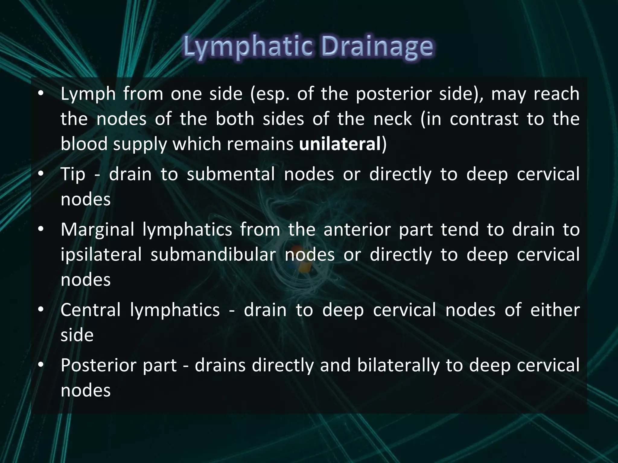 Anatomy of the tongue | PPT