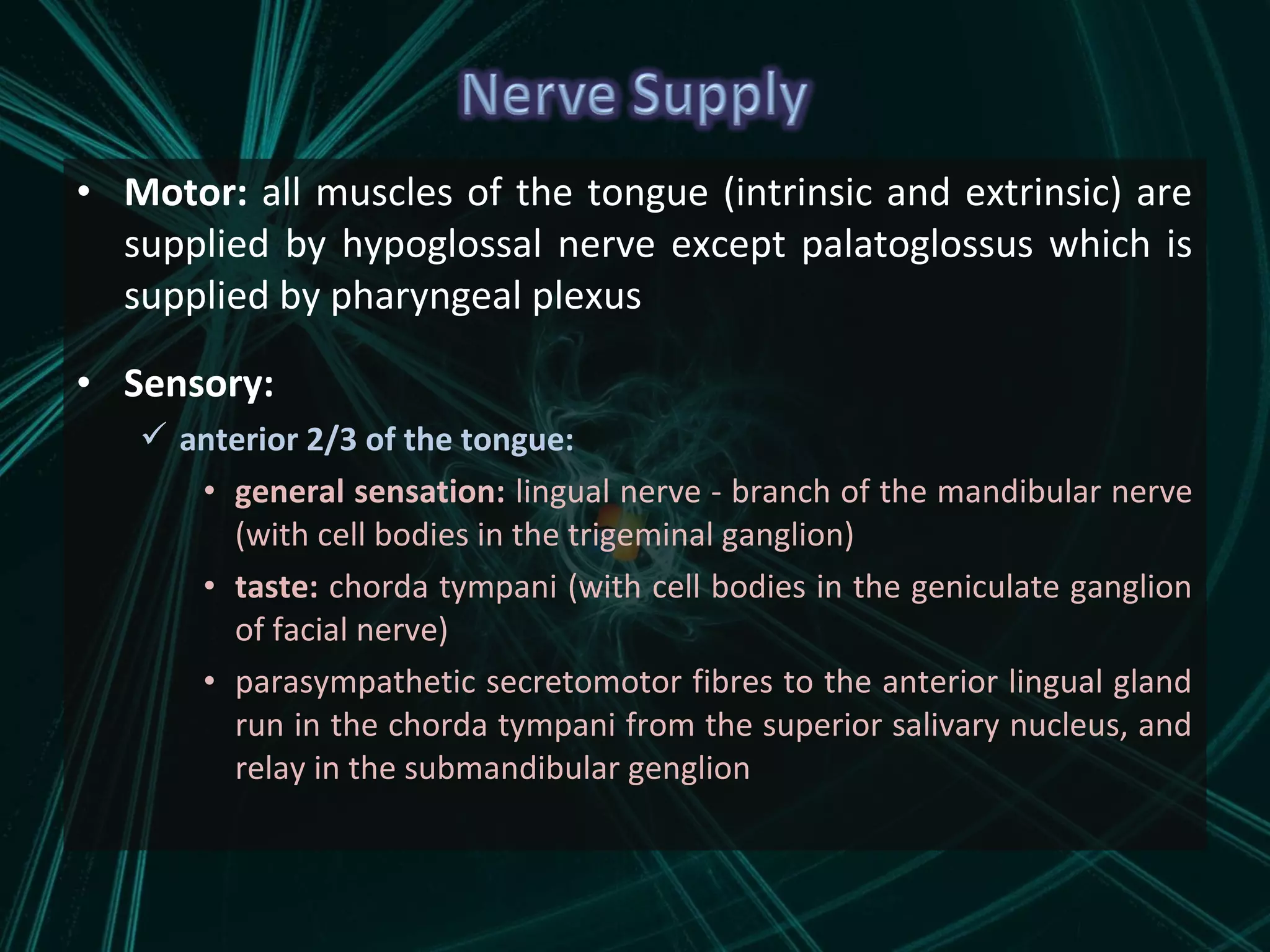 Anatomy of the tongue | PPT
