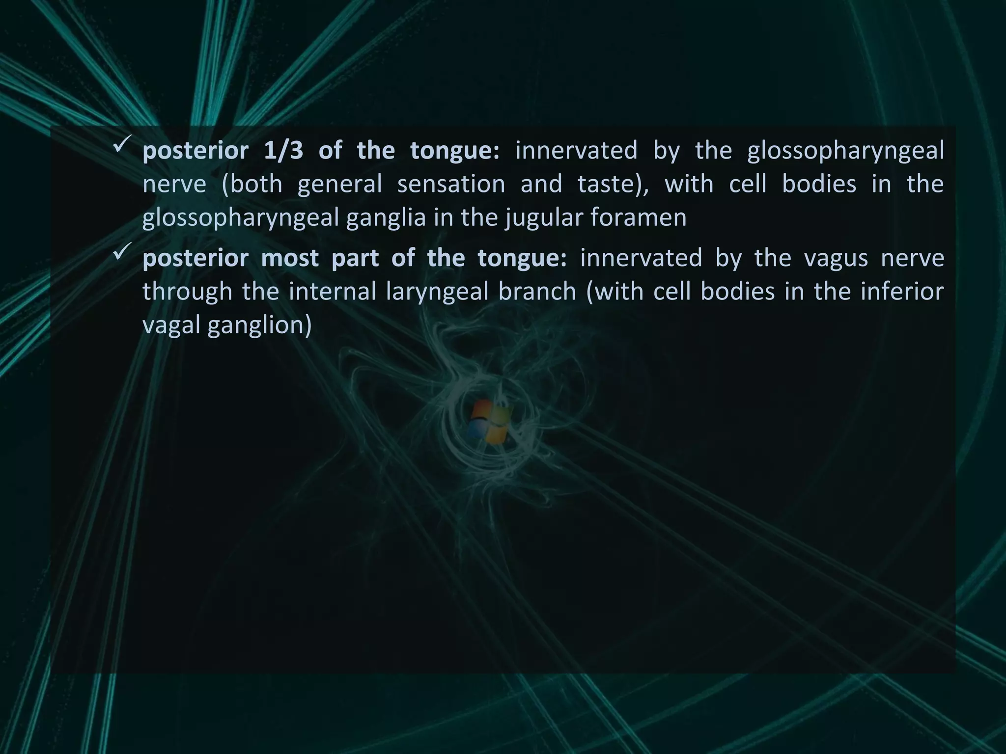 Anatomy of the tongue | PPT