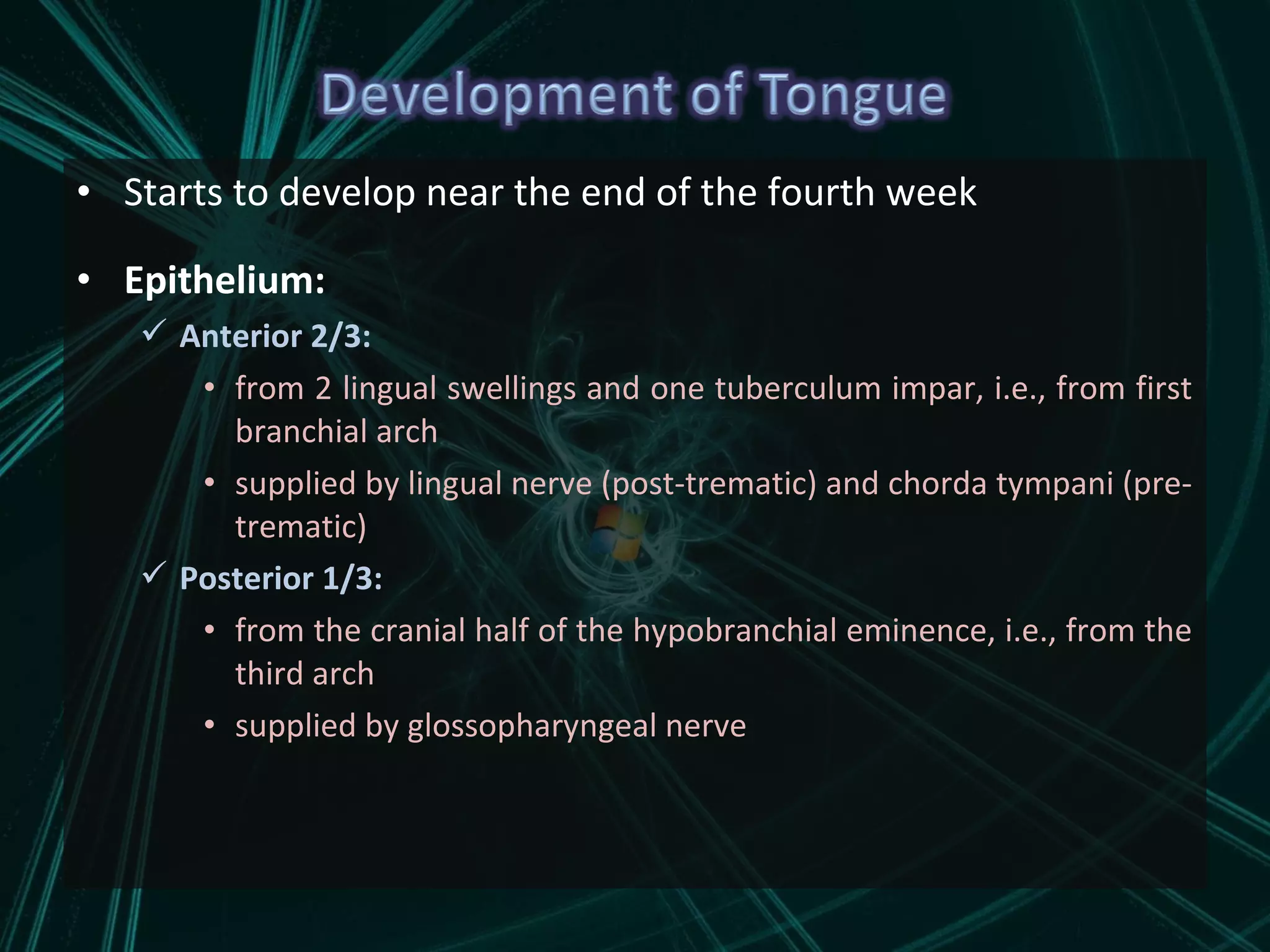 Anatomy of the tongue | PPT