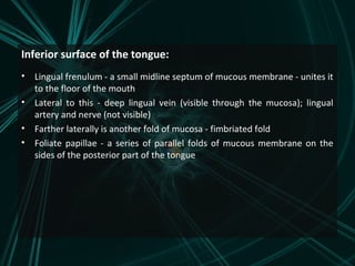 Anatomy of the tongue | PPT