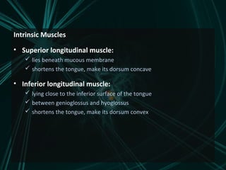 Anatomy of the tongue | PPT