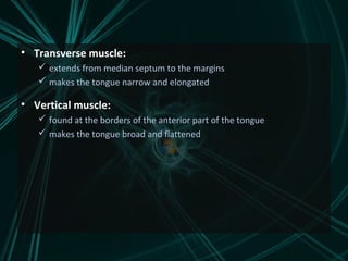 Anatomy of the tongue | PPT