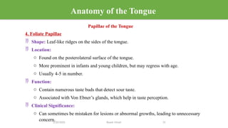 Anatomy of the Tongue by Baasir Umair.pptx