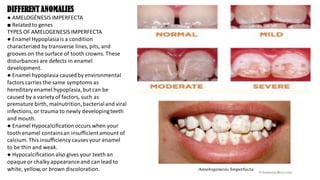 ANATOMY OF THE TOOTH.pdfssssssssssssssssssssssssss | PDF