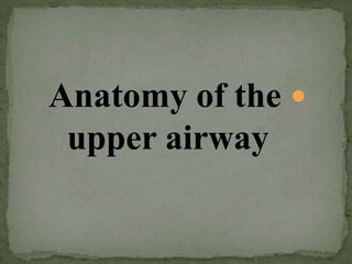 anatomy of the upper airway.ppt