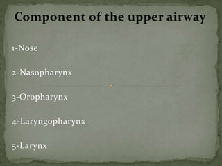 anatomy of the upper airway.ppt