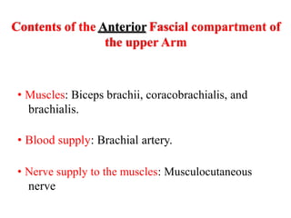 ANATOMY OFTHE UPPER ARM.PPTX