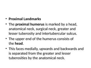 Anatomy of the upper limb.pptxpresentation | PPTX