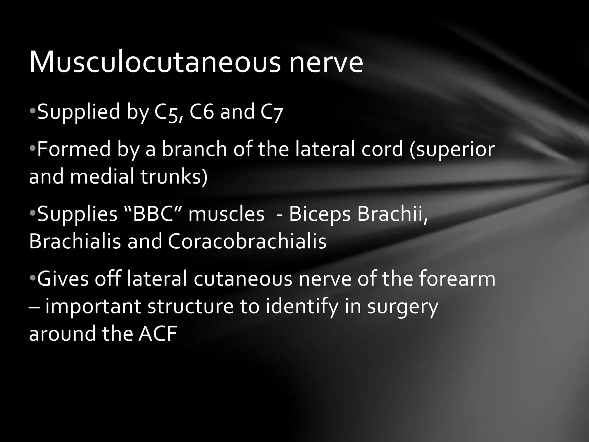 Anatomy of the upper limb – brachial plexus | PPTX