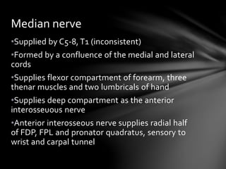 Anatomy of the upper limb – brachial plexus | PPT