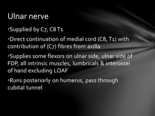 Anatomy of the upper limb – brachial plexus | PPT