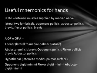 Anatomy of the upper limb – brachial plexus | PPT