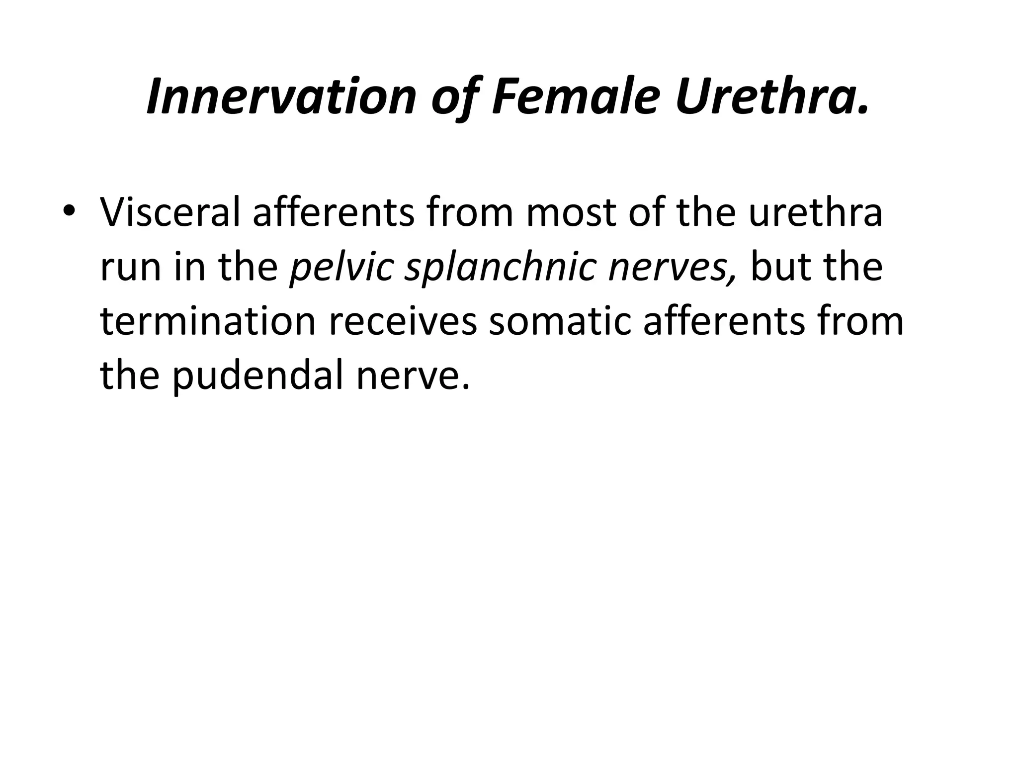 Anatomy of the urethra | PPTX