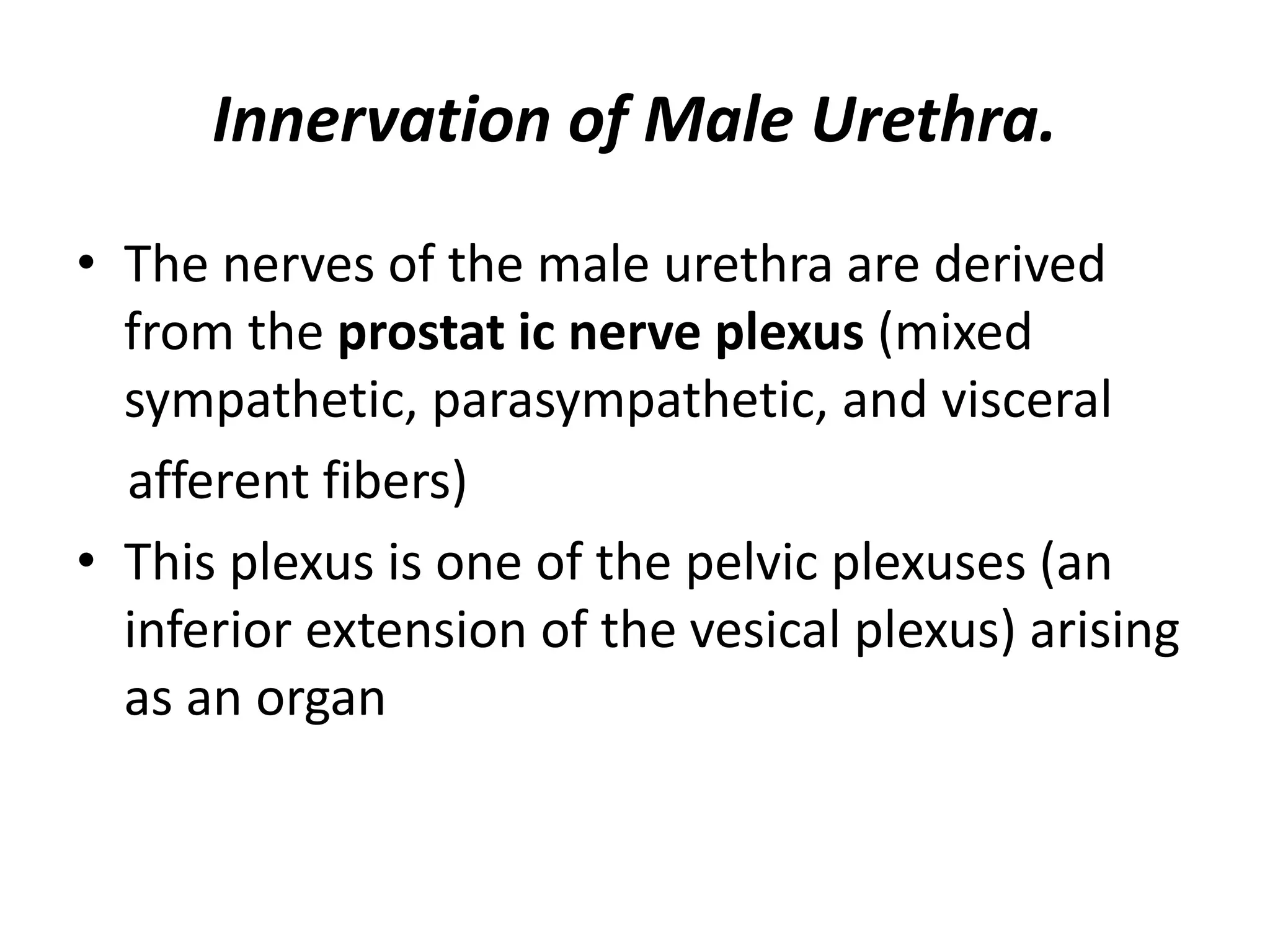 Anatomy of the urethra | PPTX