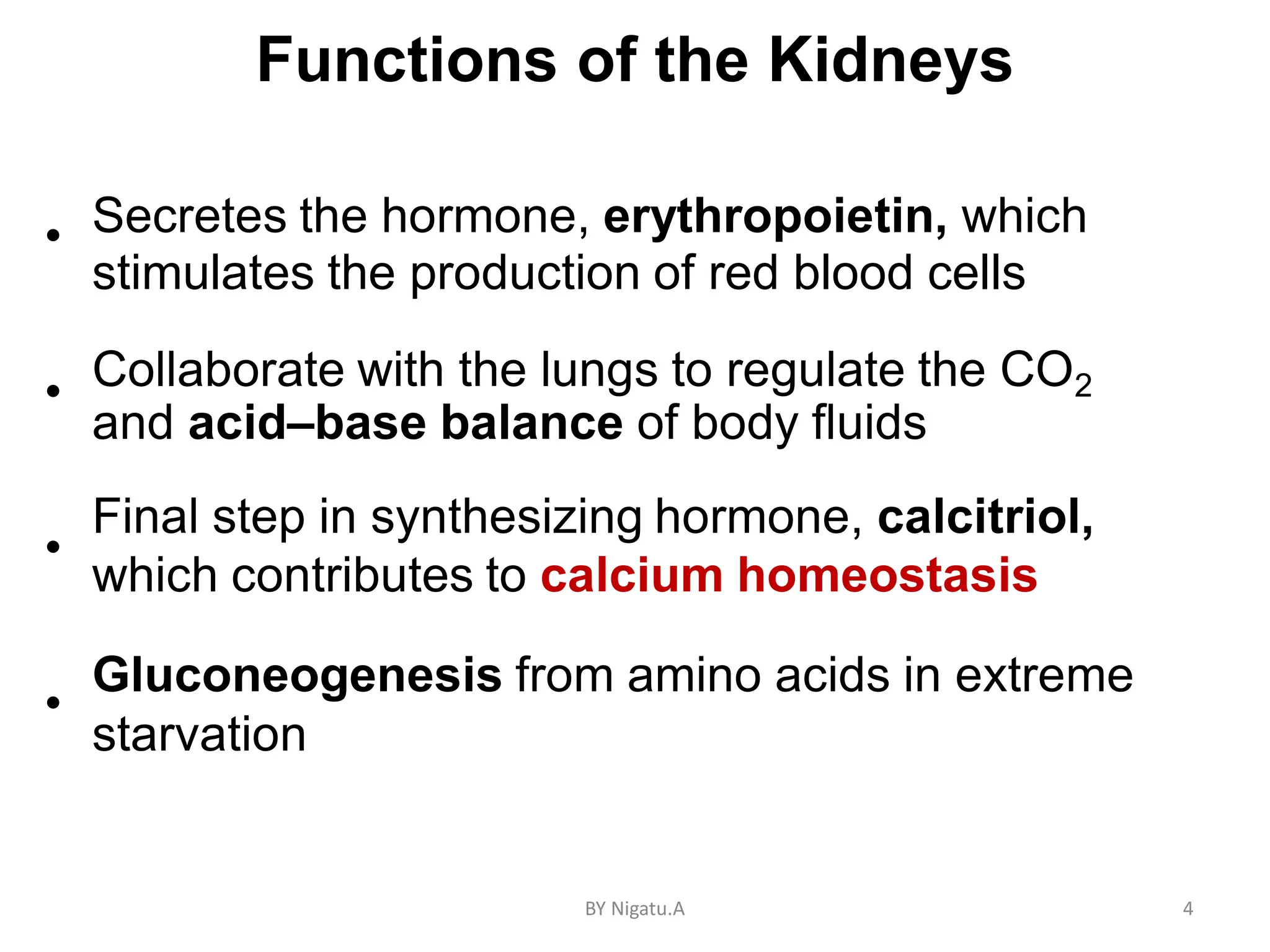 Anatomy of the urinary system(E)_2 (4).pptx