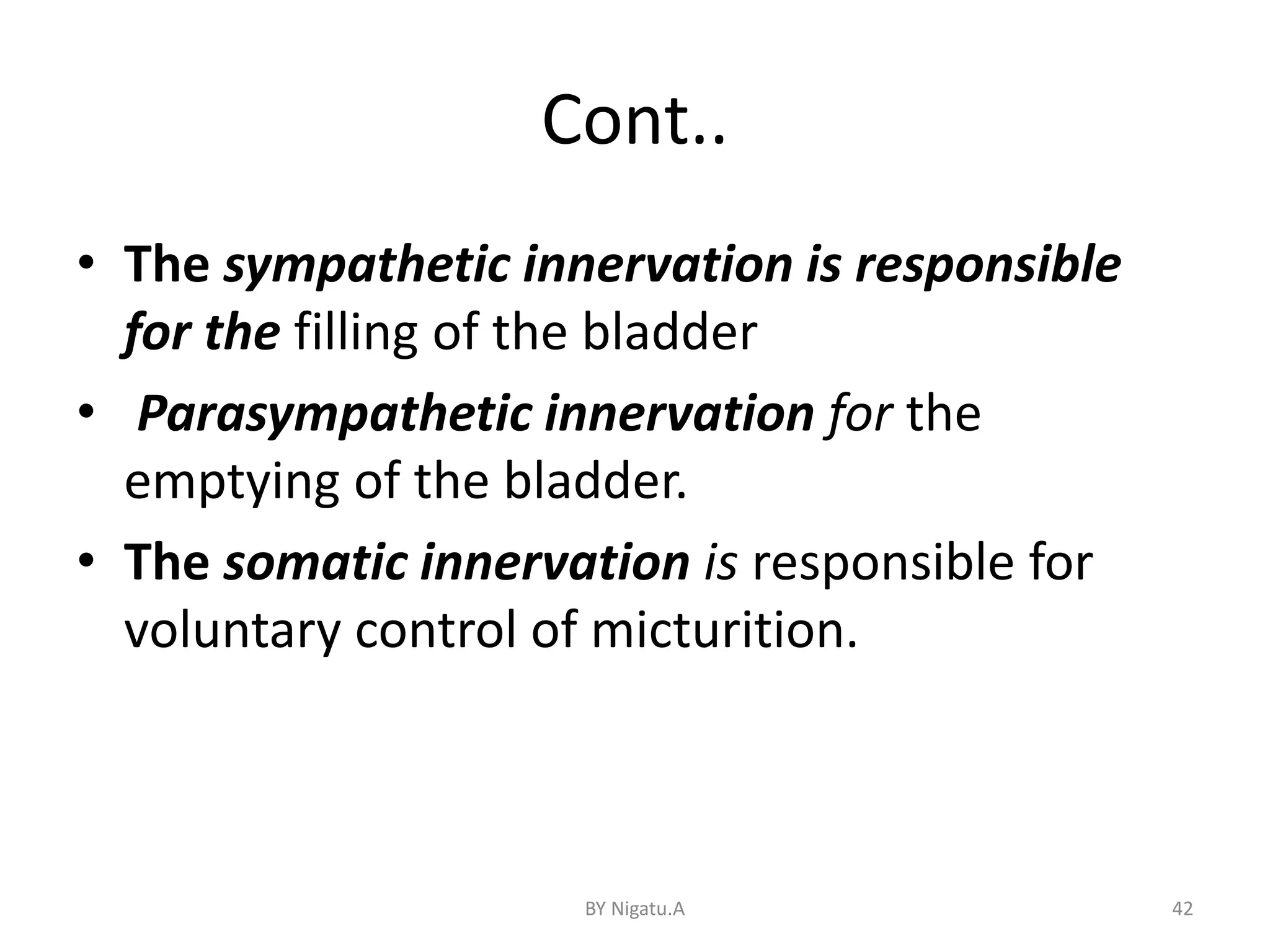 Anatomy of the urinary system(E)_2 (4).pptx