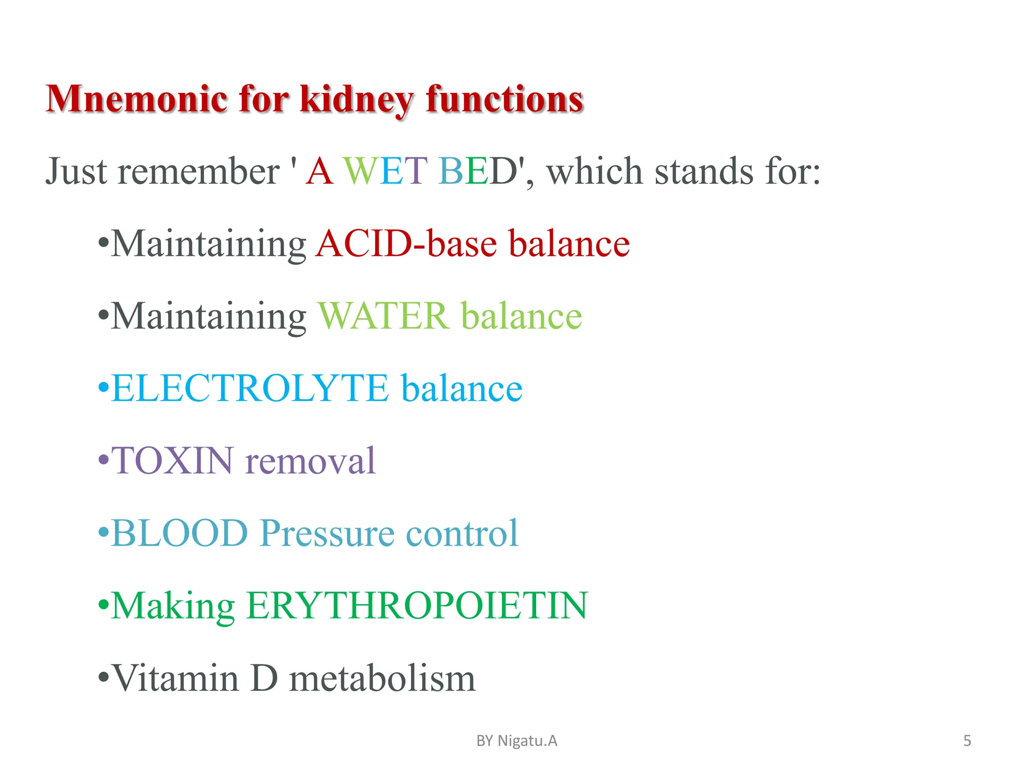 Anatomy of the urinary system(E)_2 (4).pptx