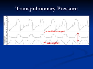 Anatomy of the ventilator | PPT