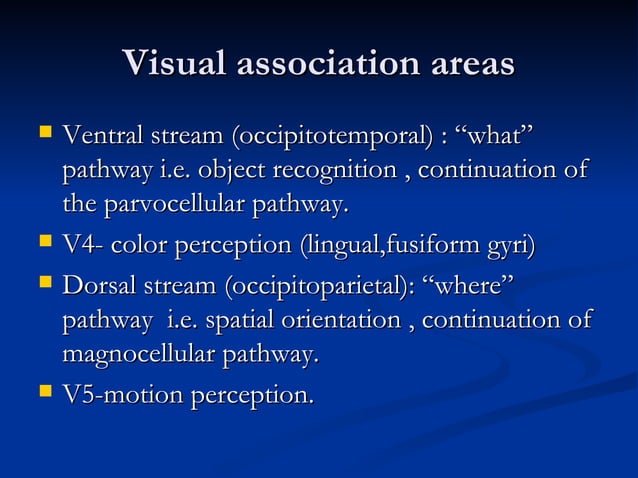 Anatomy of the visual pathways and visual cortex | PPT | Brain and ...
