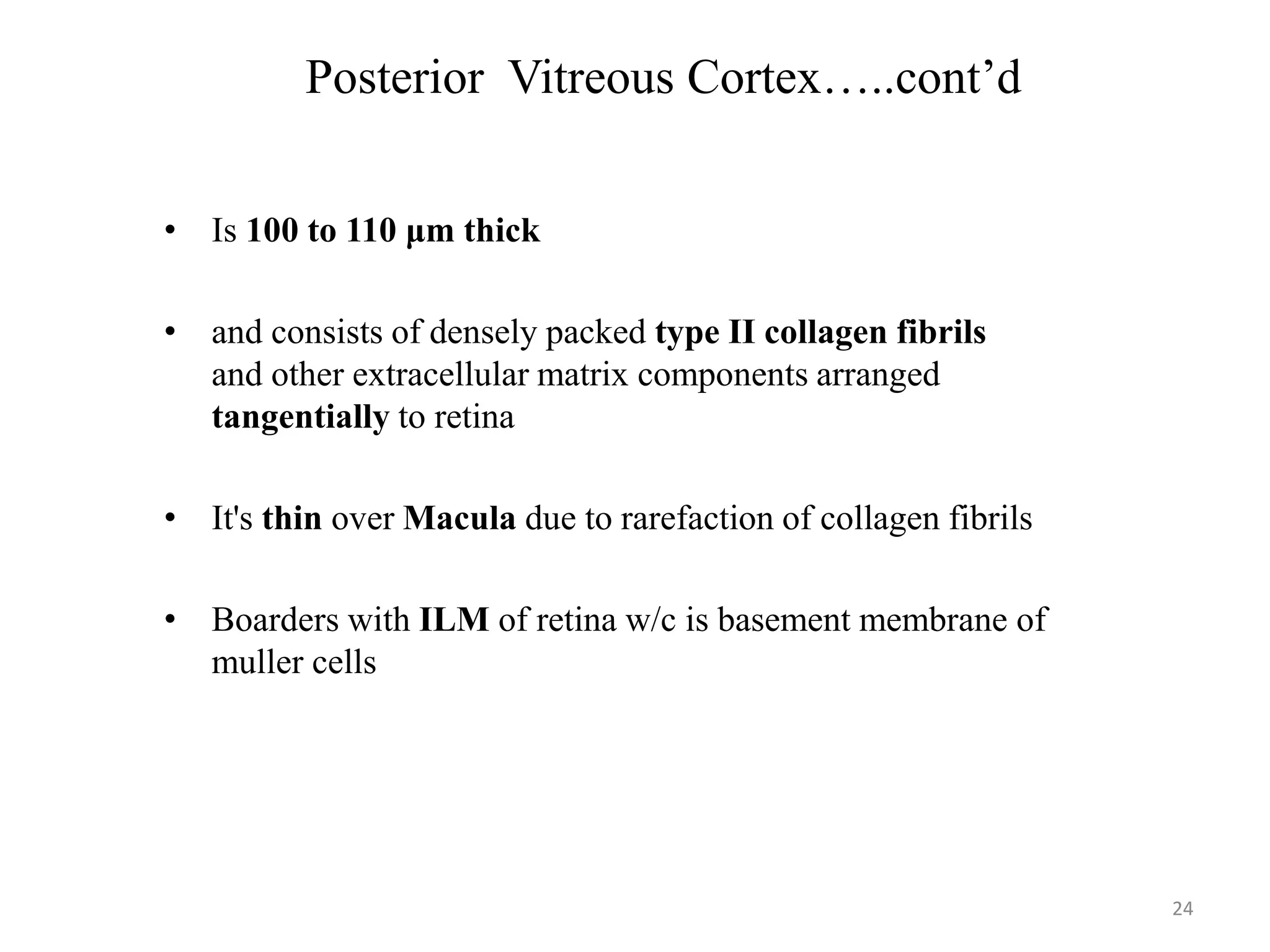 Anatomy of the vitreous body | PPTX